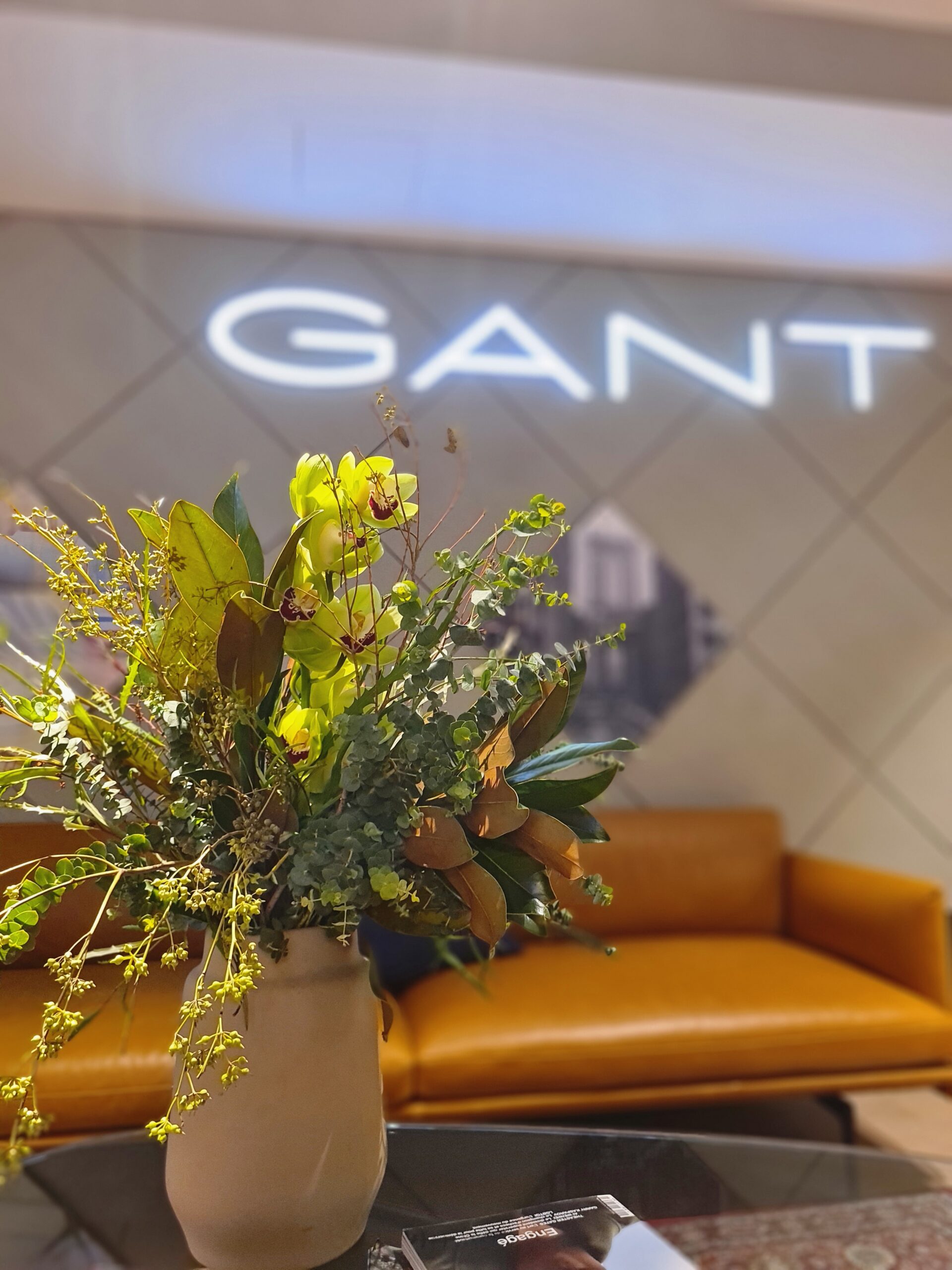 GANT - Racine Paris